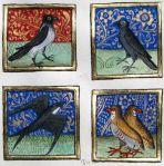 Pets in Medieval Times – The Rose and the Thistle