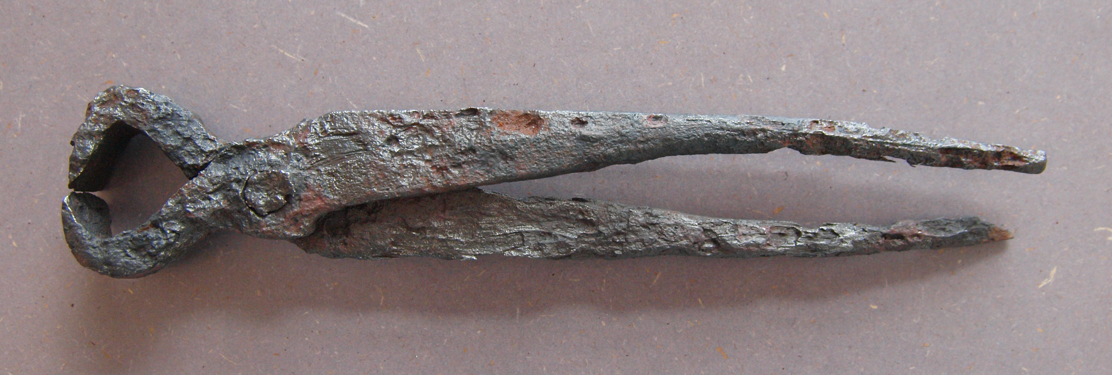 The First Executed Witch in the North Berwick Witch Trials – The Rose ...